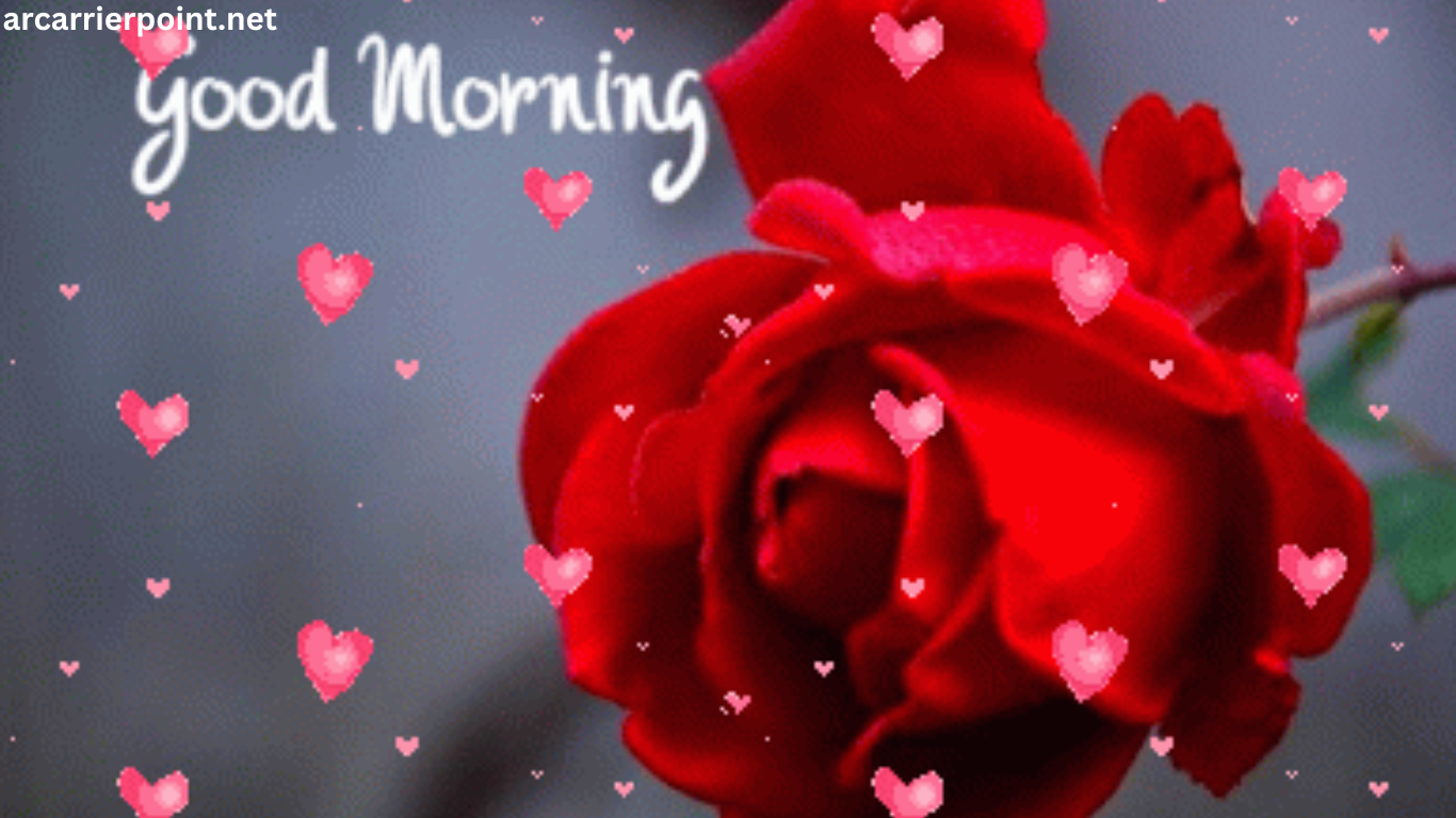 200+ Good Morning GIF For Whatsapp Free Download - AR Carrier Point