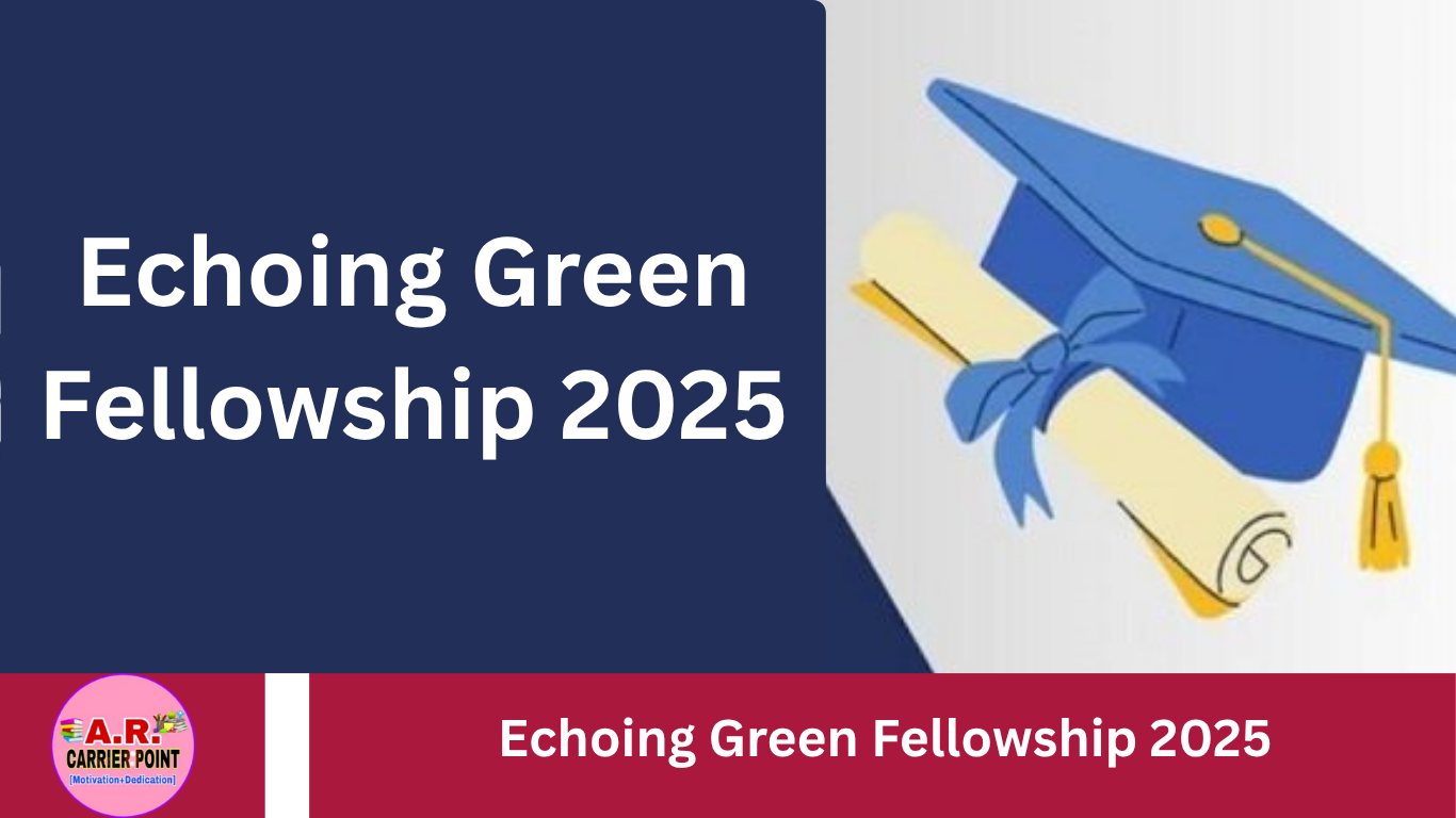 Echoing Green Fellowship 2025 - AR Carrier Point